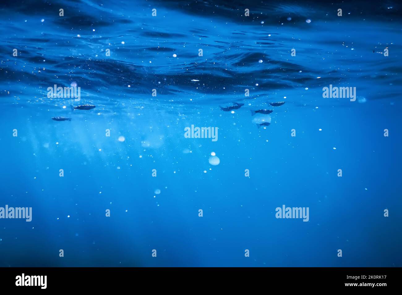 Dark water, rays of the sun through the water, the underwater world ...