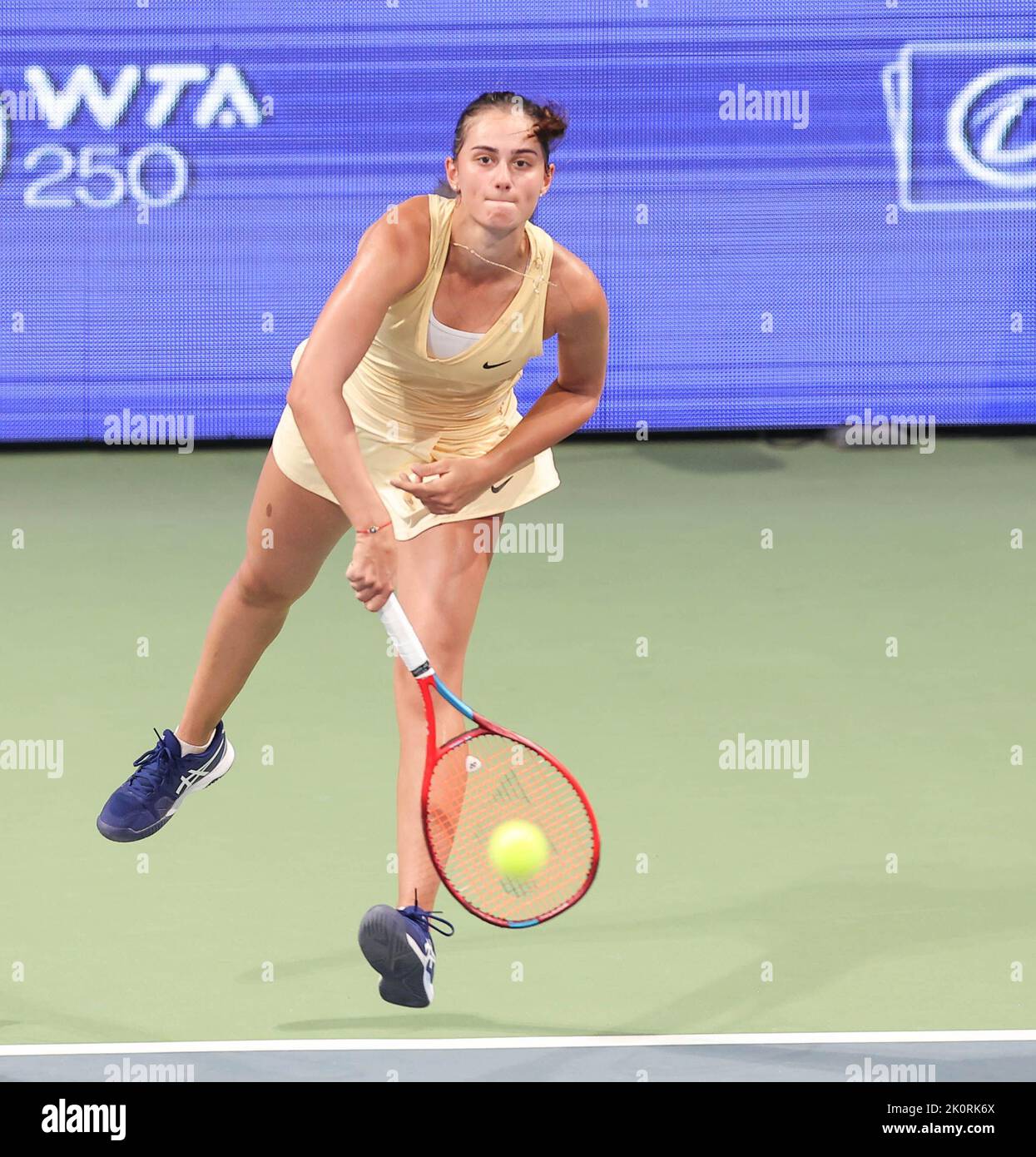 India vs usa hi-res stock photography and images - Alamy