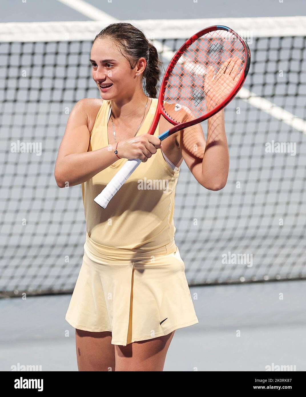 Usa vs russia vs india hi-res stock photography and images - Alamy