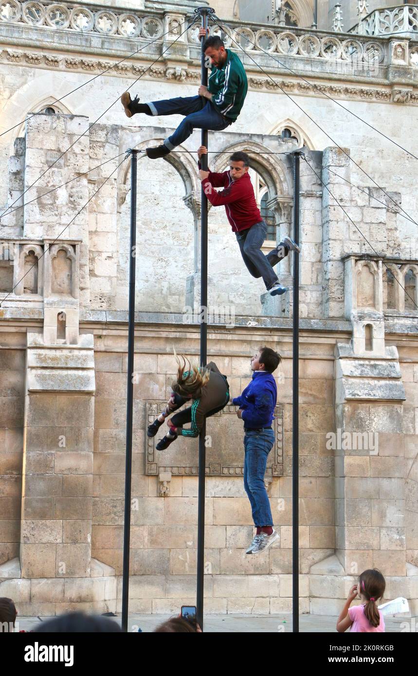Free public event in the Plaza Rey San Fernando next to Burgos ...