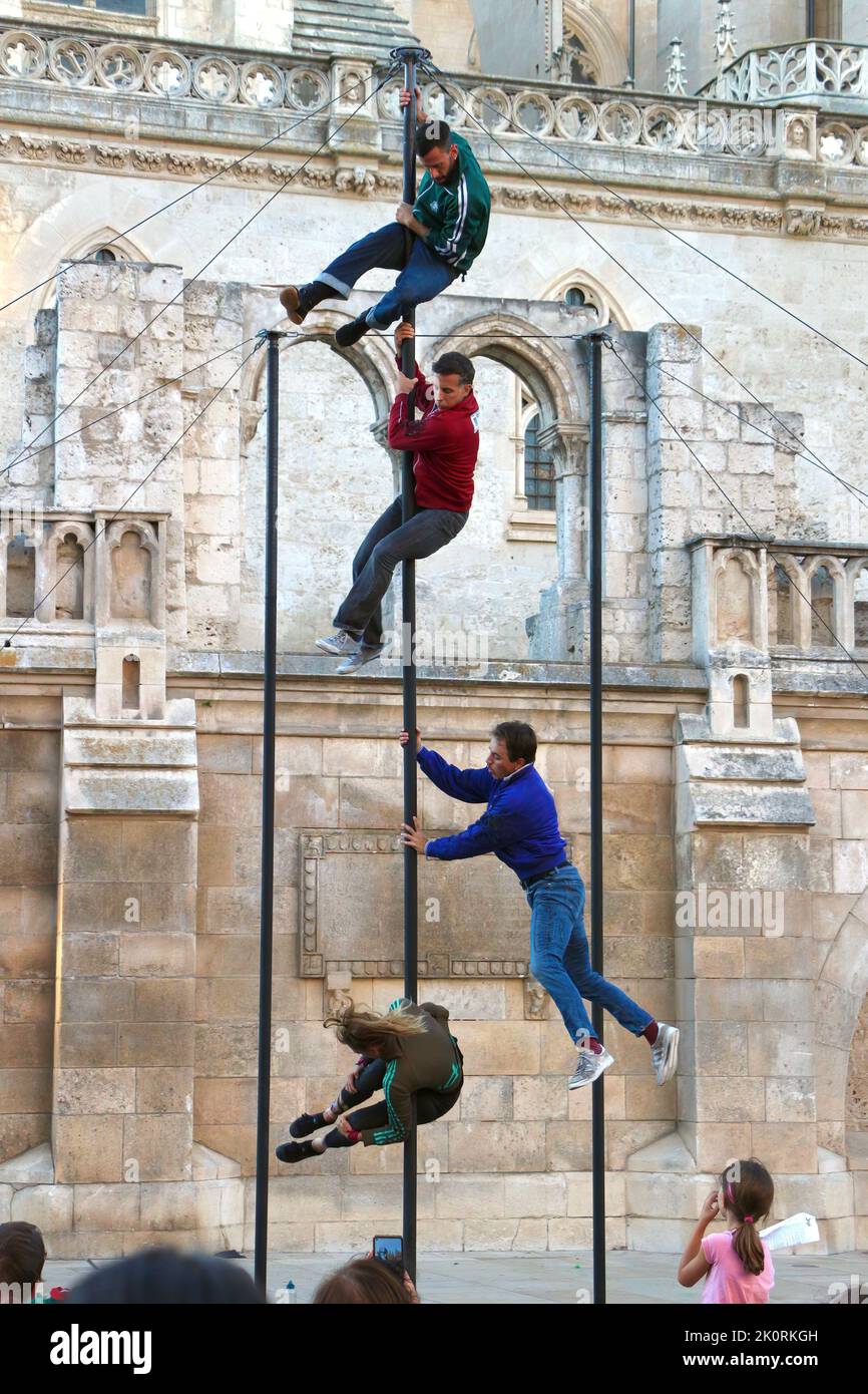 Free public event in the Plaza Rey San Fernando next to Burgos ...
