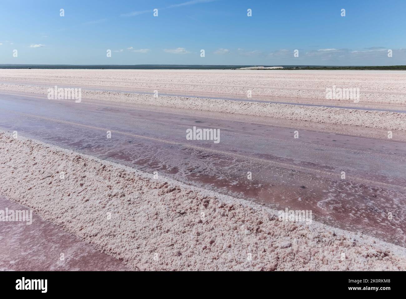 Saline, in patagonia environment, La Pampa Province, Patagonia ...