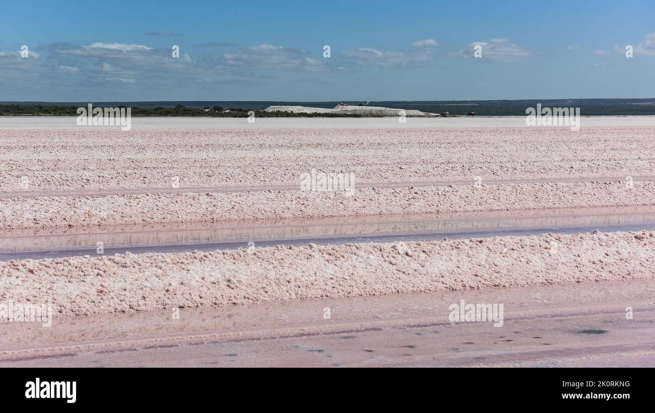 Saline, in patagonia environment, La Pampa Province, Patagonia ...