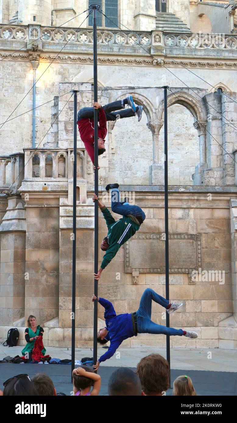 Free public event in the Plaza Rey San Fernando next to Burgos ...