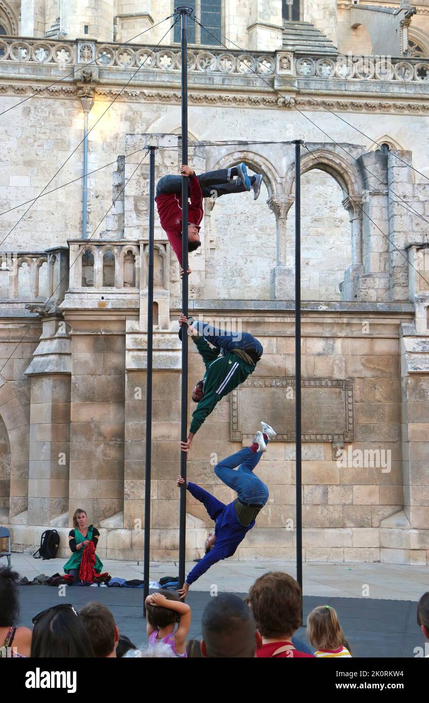 Free public event in the Plaza Rey San Fernando next to Burgos ...