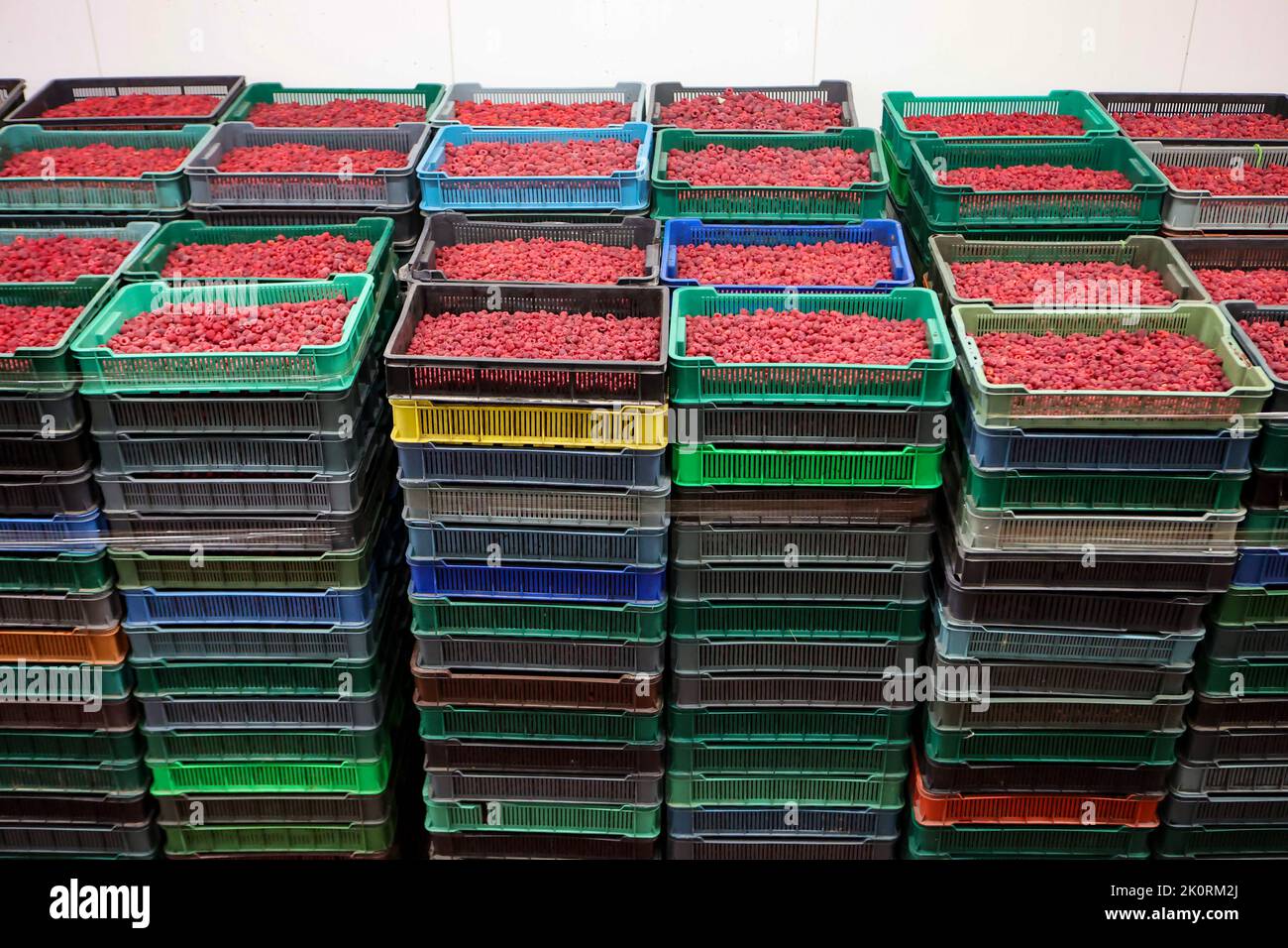 TYSHKIVTSI, UKRAINE - SEPTEMBER 8, 2022 - The stacks of crates with ...