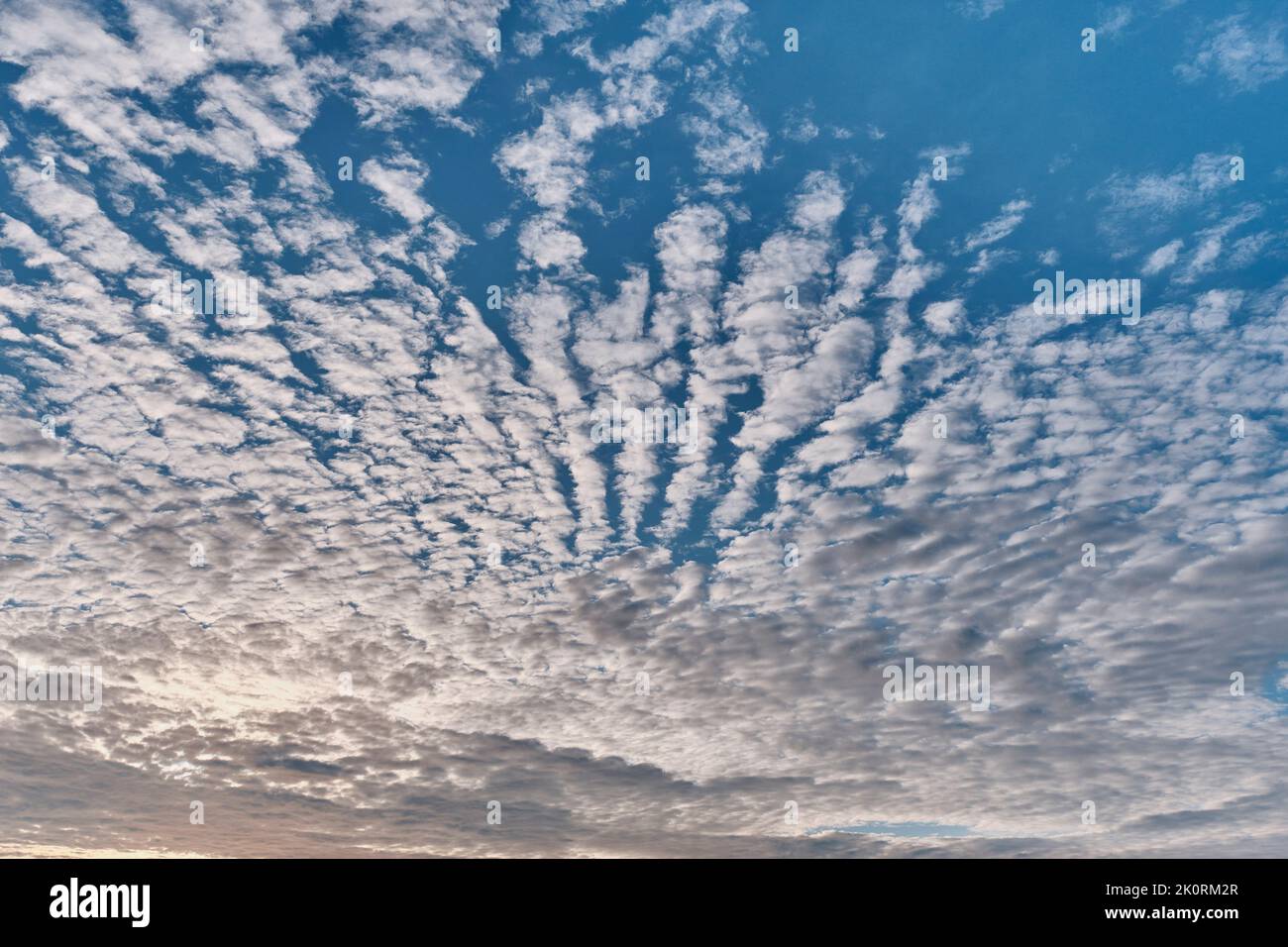 Cumulus clouds form in blue hi-res stock photography and images - Alamy