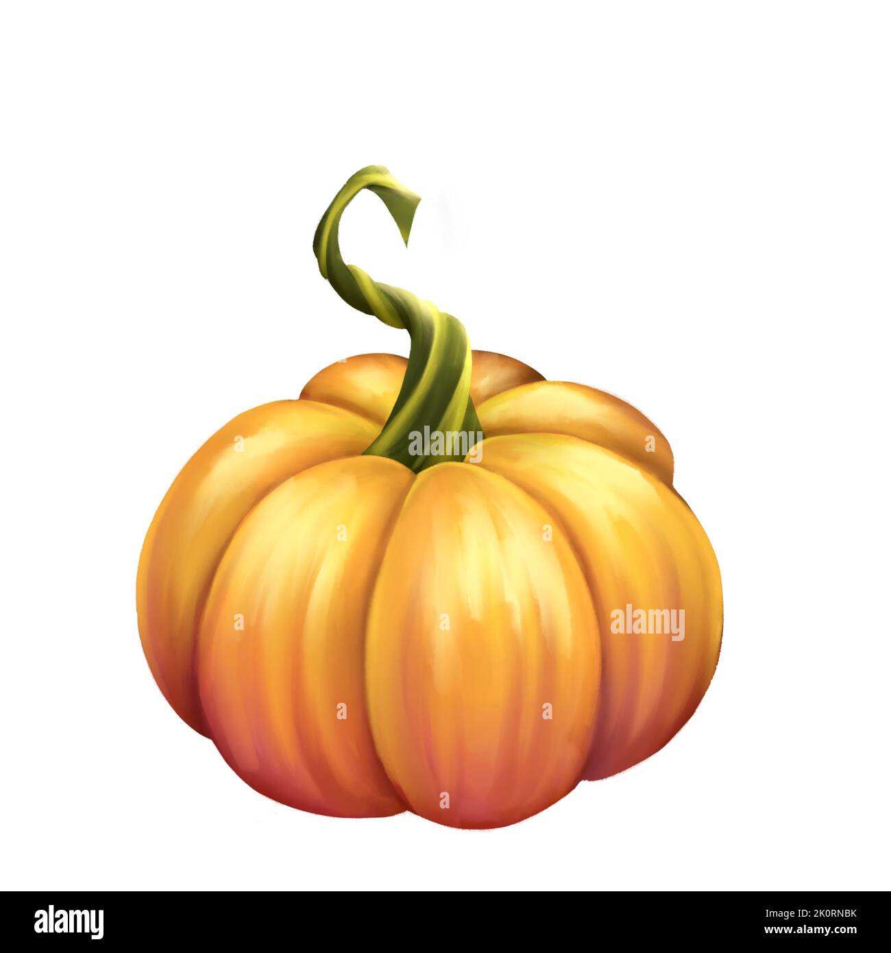 Pupkin. Illustration isolated on white Stock Photo - Alamy