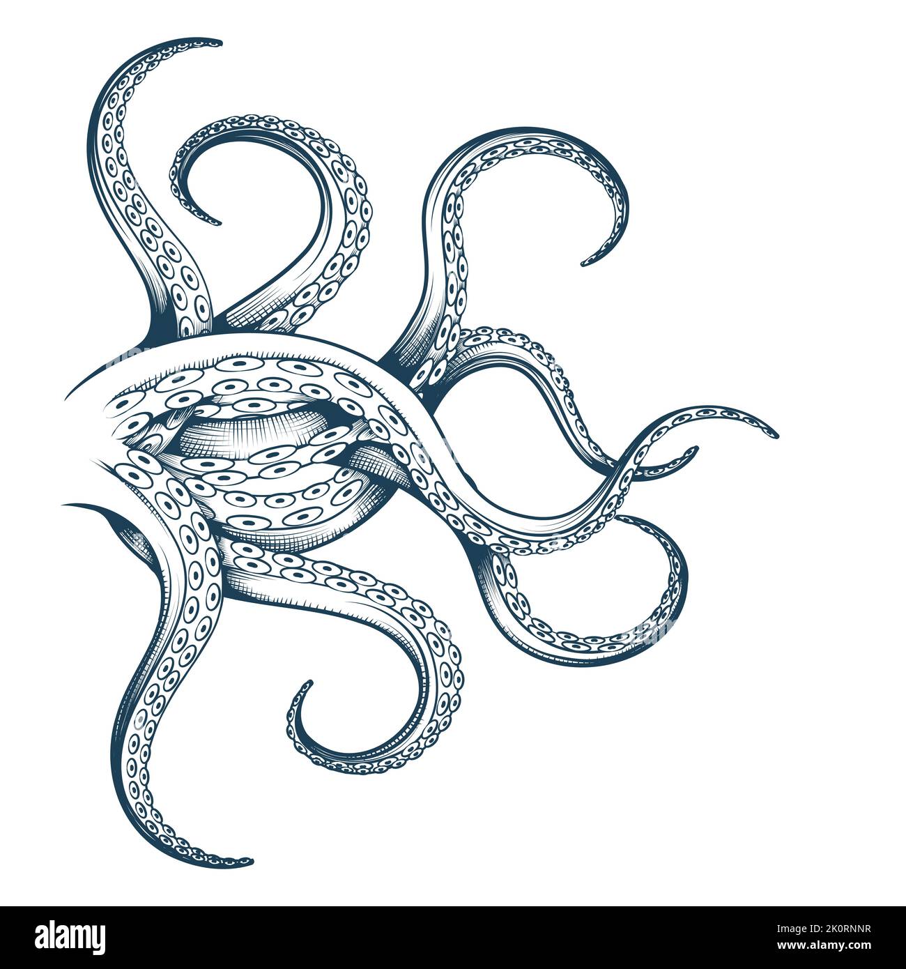 Tentacles sketch. Cephalopods monster tentacle doodles, giant scary ...