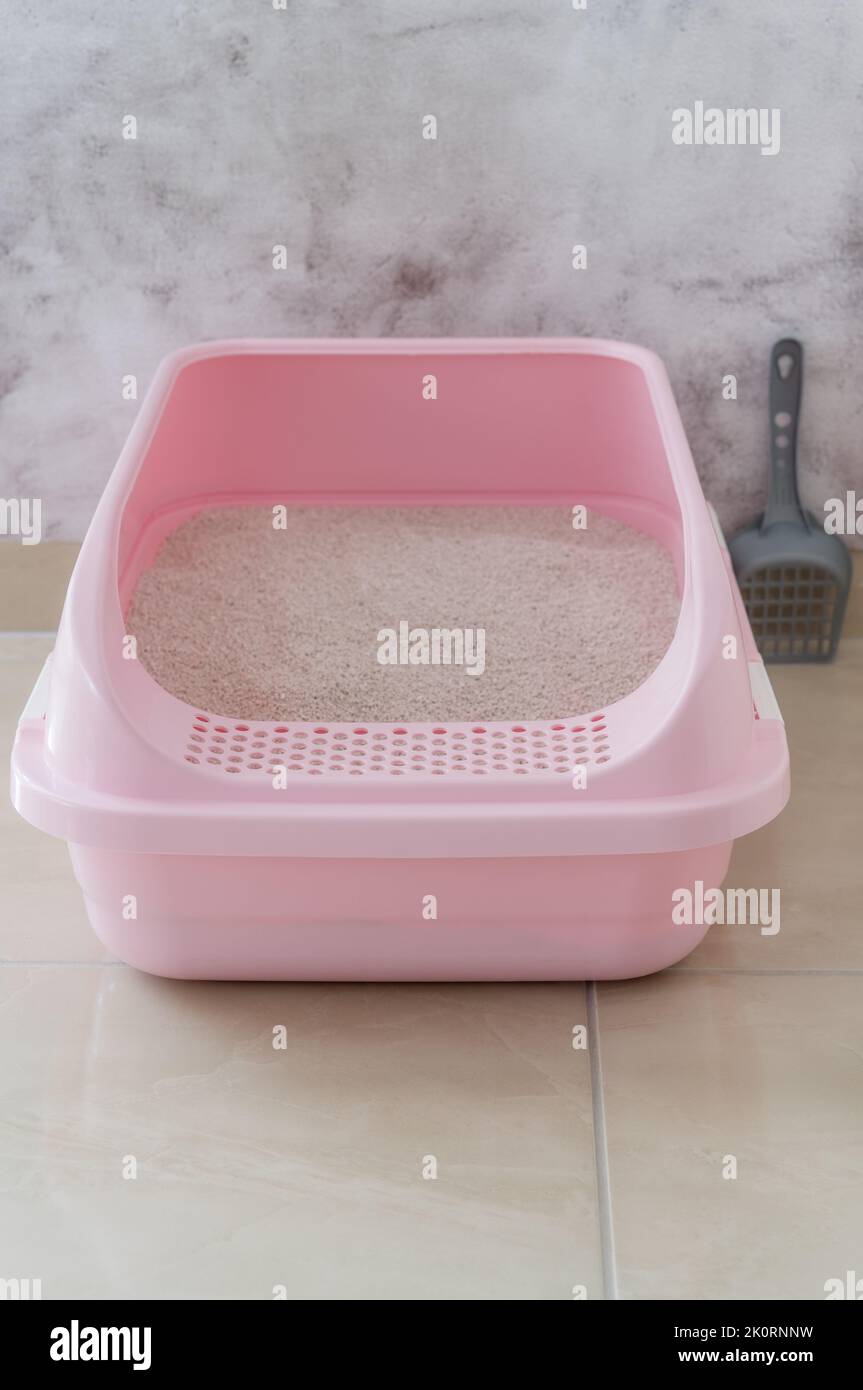 Clumping cat litter in the litter box in the restroom Stock Photo - Alamy