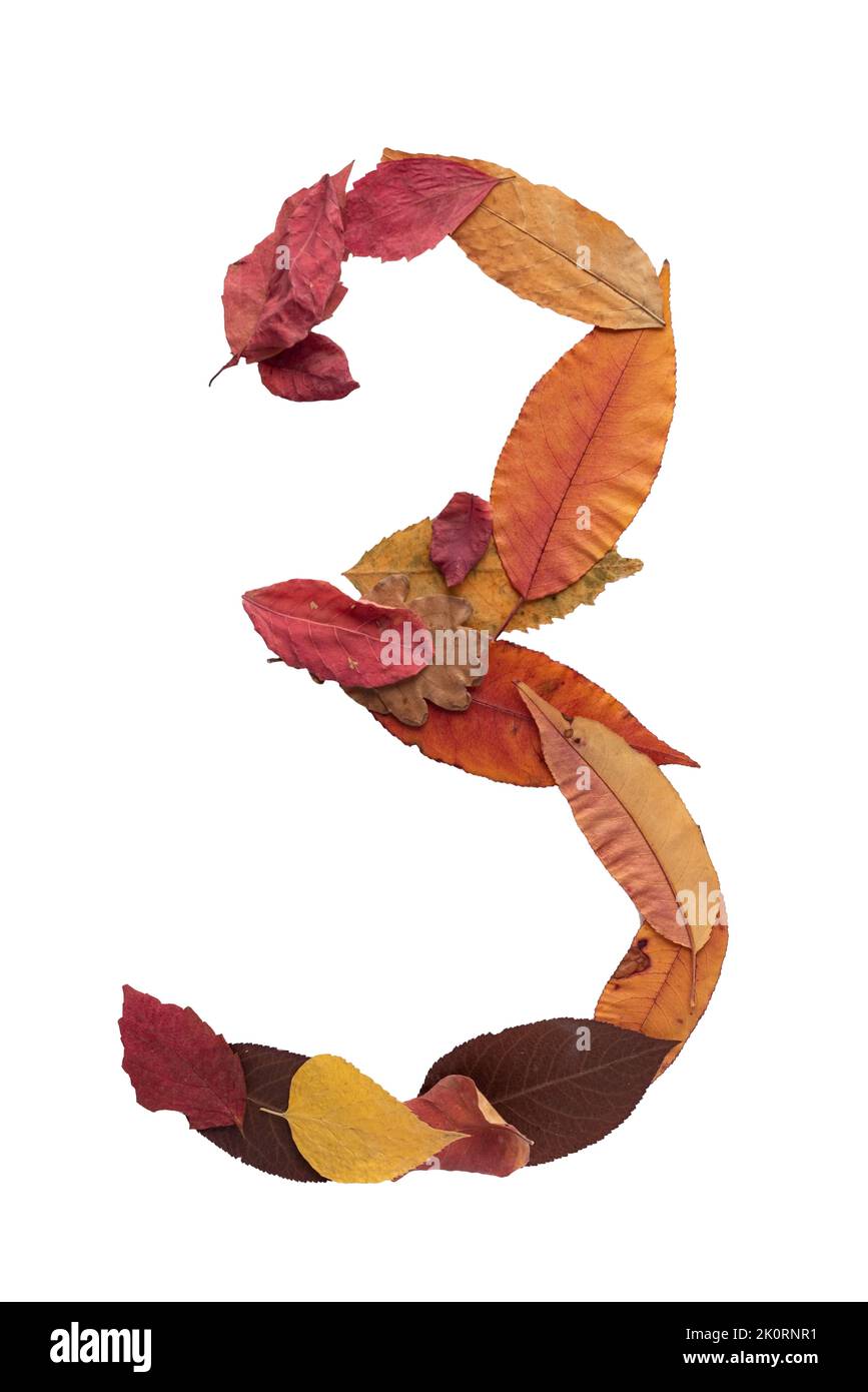 number 3 autumn leaves isolate on white background Stock Photo - Alamy