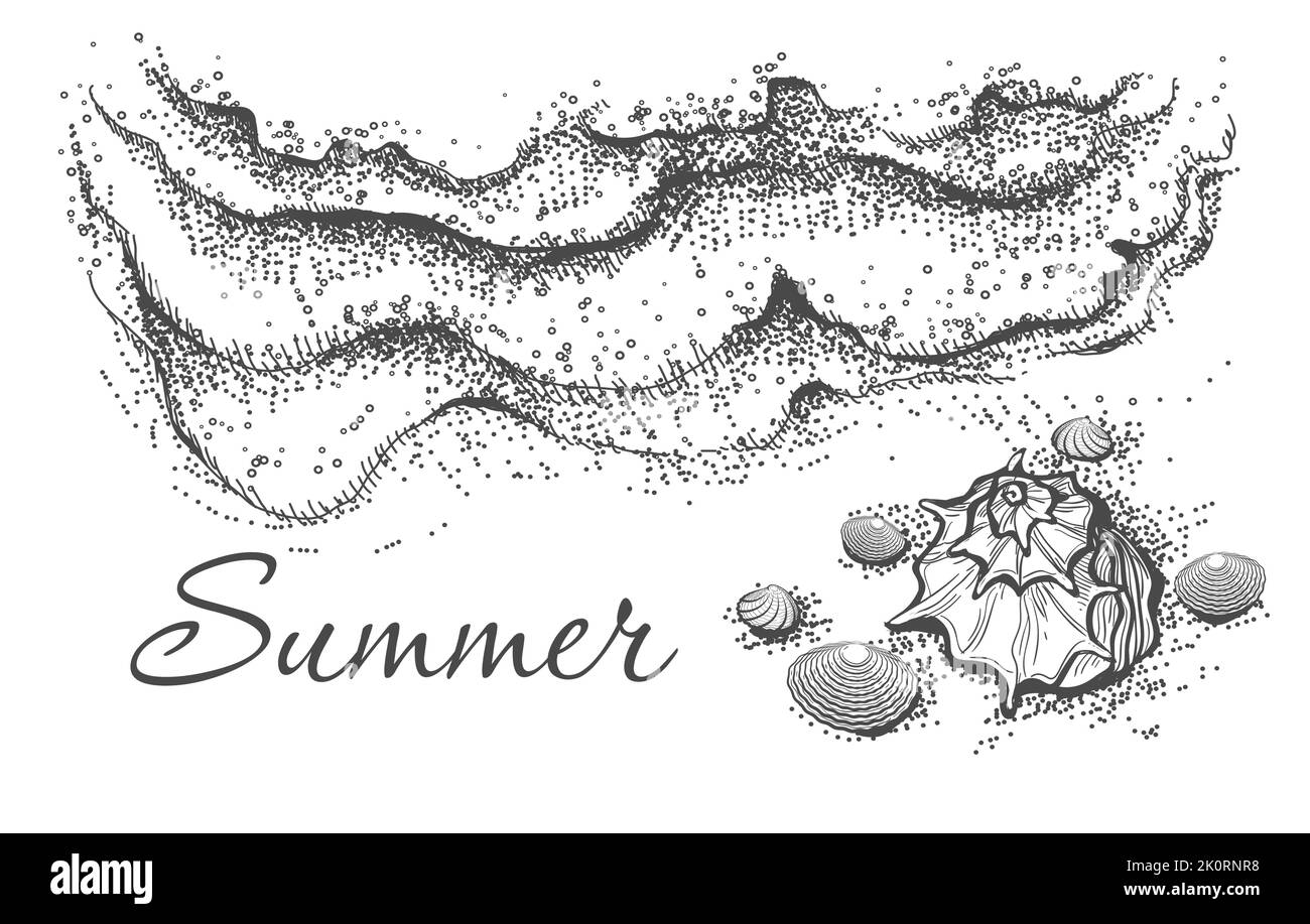 Sand sea shell line Cut Out Stock Images & Pictures - Alamy