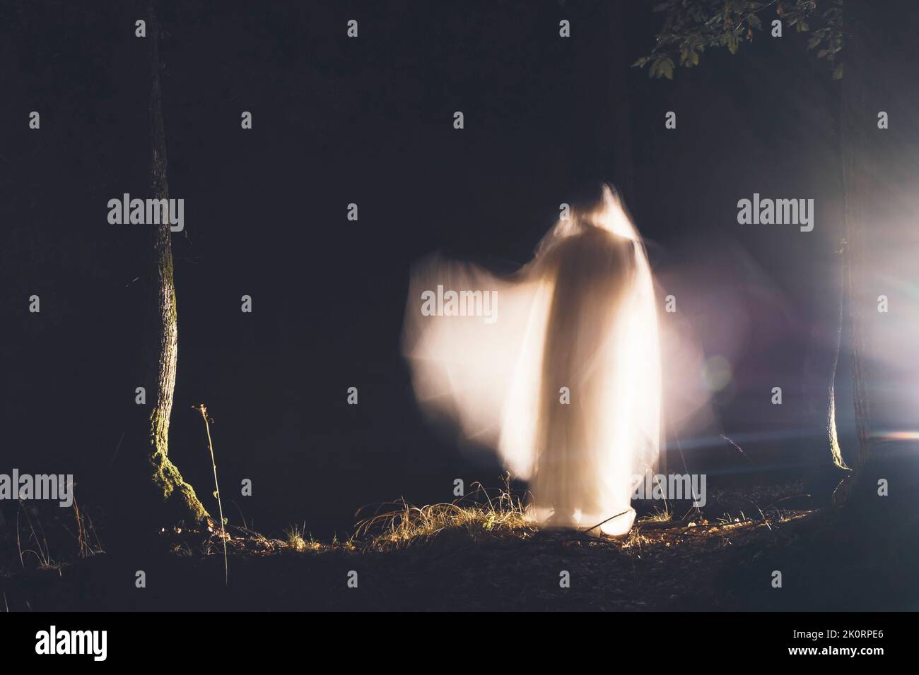 Horror background of a ghostly figure in enchanted a forest. Halloween ...