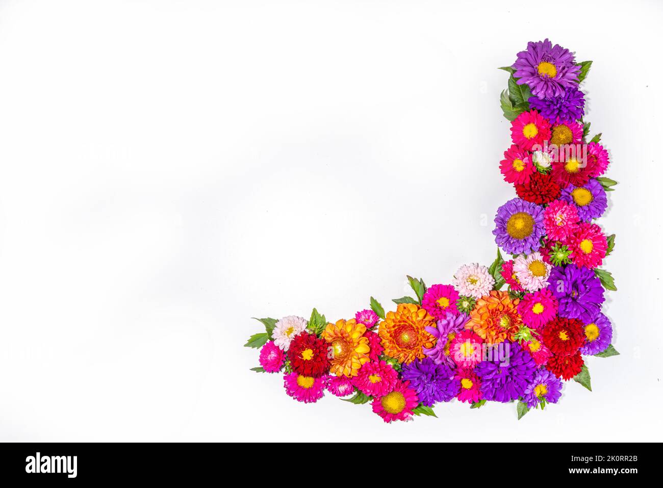 Autumn flowers flatlay background. Bouquet of colorful chrysanthemum ...