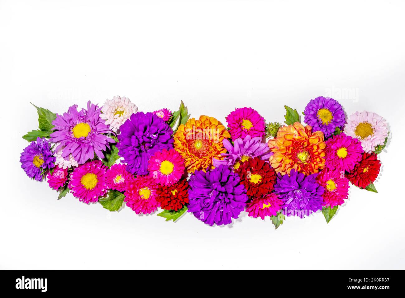 Autumn flowers flatlay background. Bouquet of colorful chrysanthemum ...
