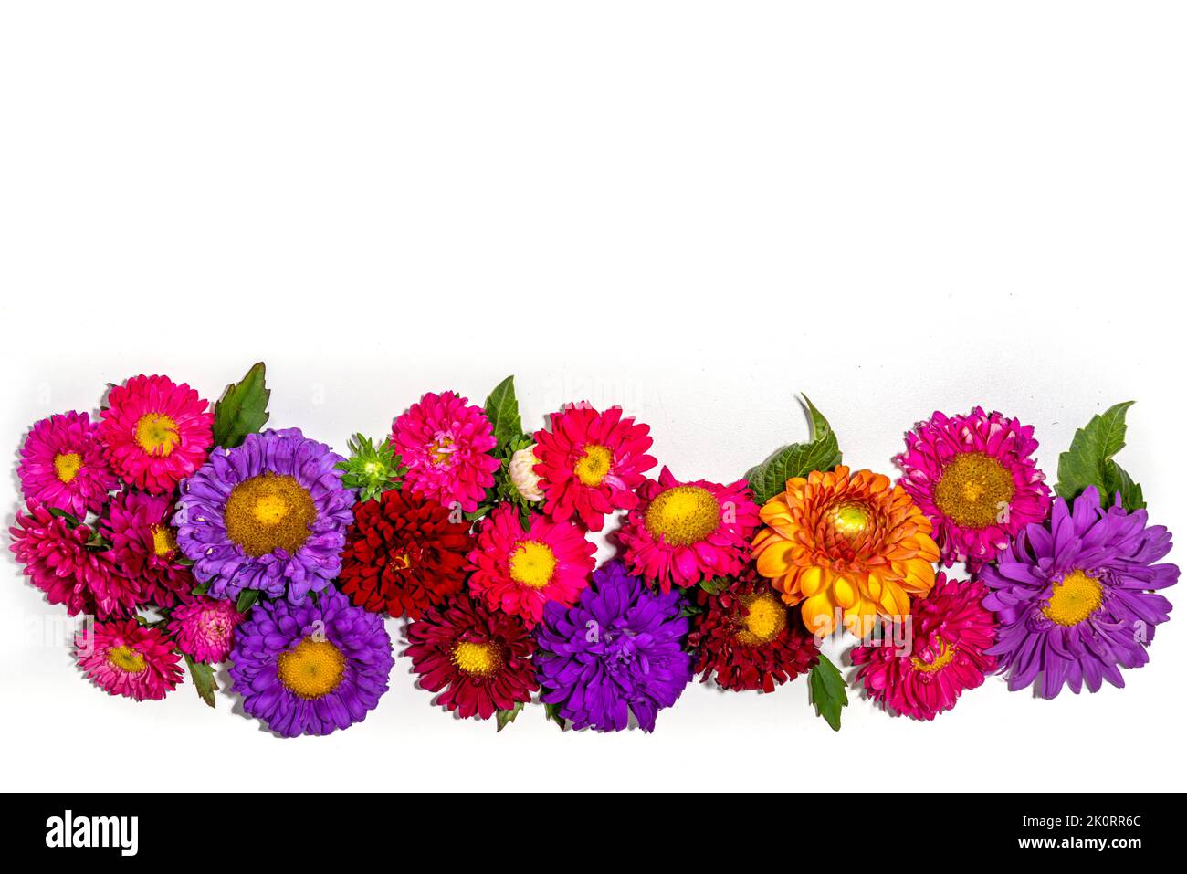 Fall flower border Cut Out Stock Images & Pictures - Alamy