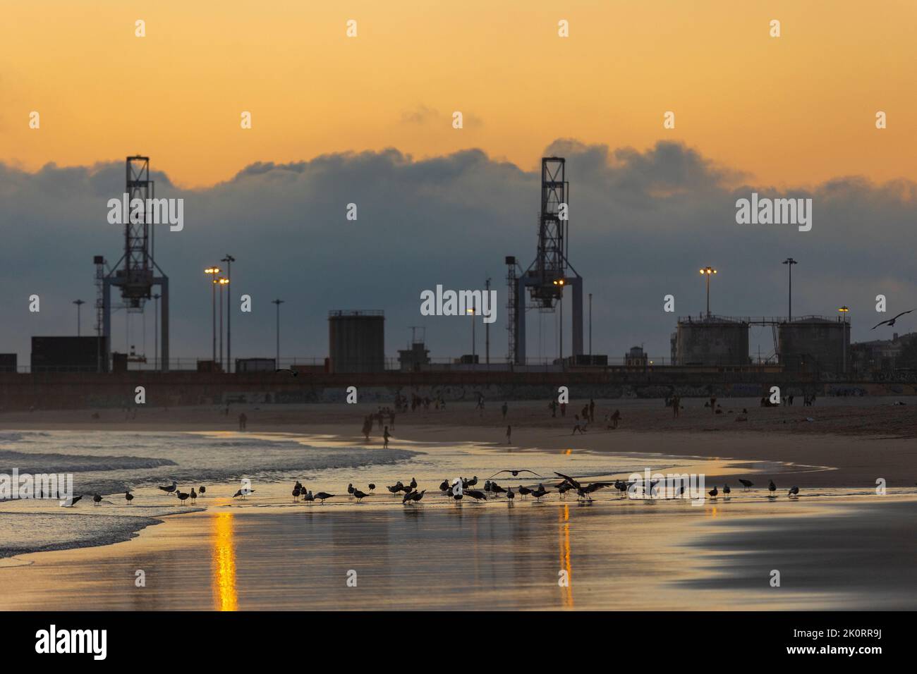 A mesmerizing view of the golden sunset over the factory near the sea ...