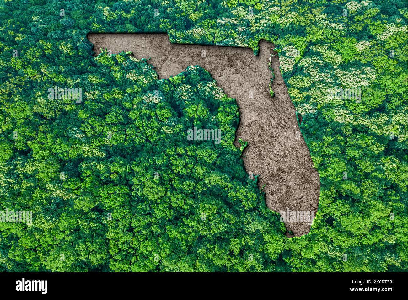 Sustainable habitat Map of Florida, Environment concept Stock Photo - Alamy