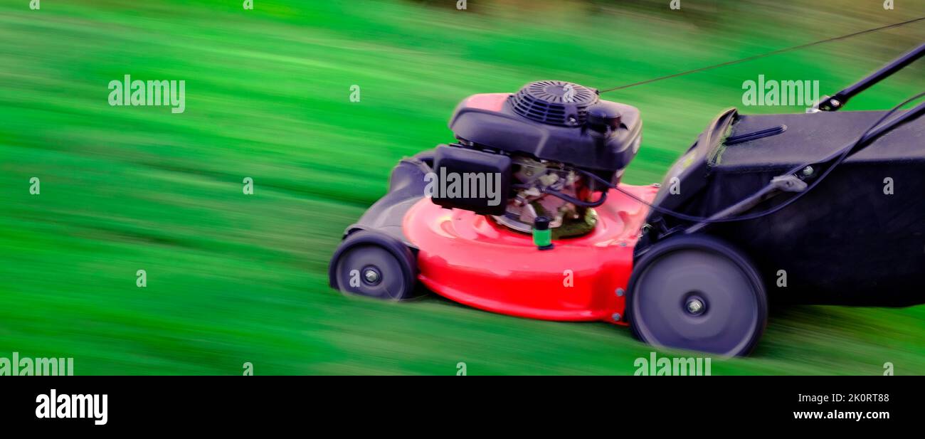 Red lawn mower in lush green grass mowing lawn cutting Stock Photo - Alamy
