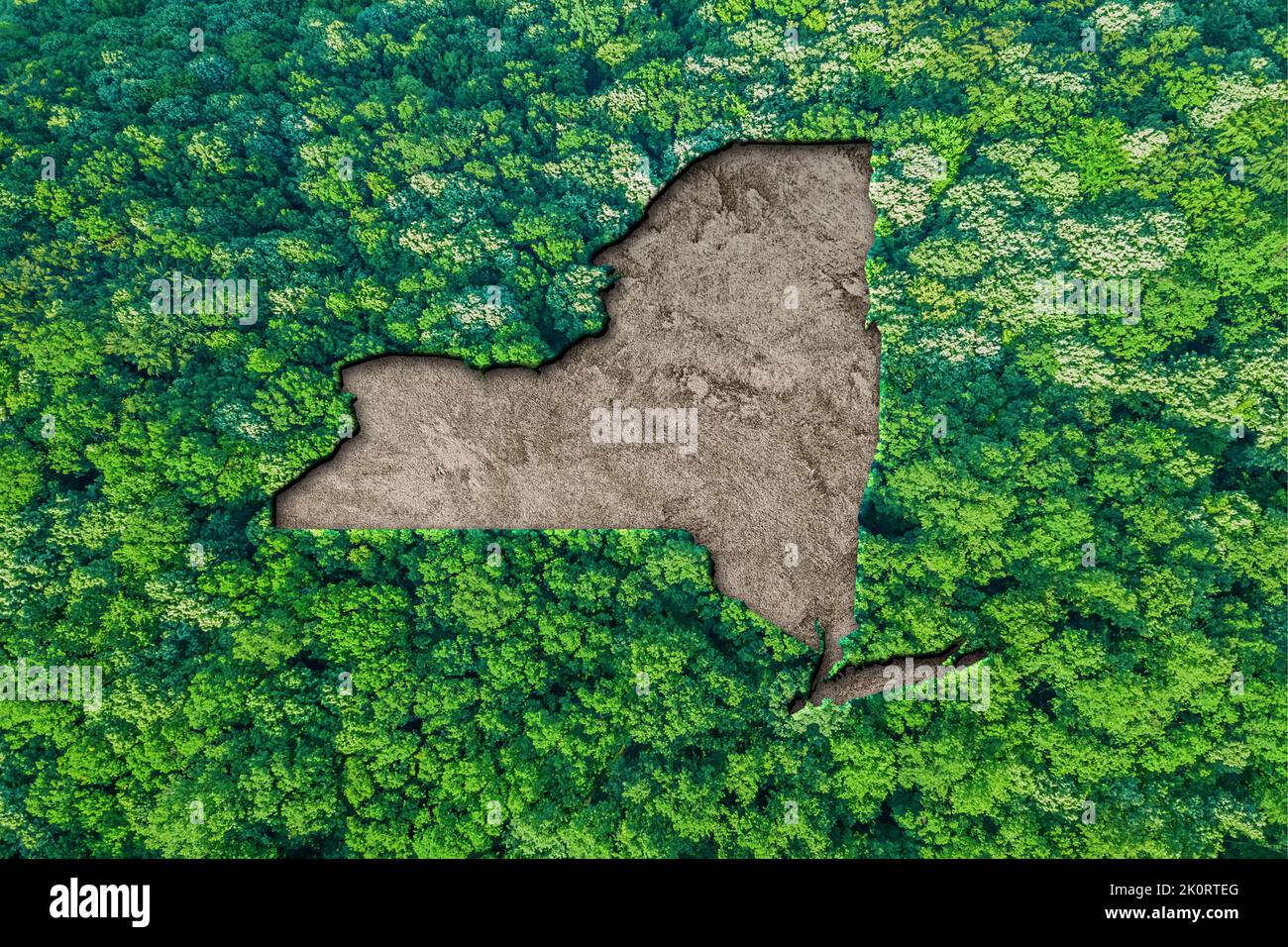 Sustainable habitat Map of New York, Environment concept Stock Photo ...