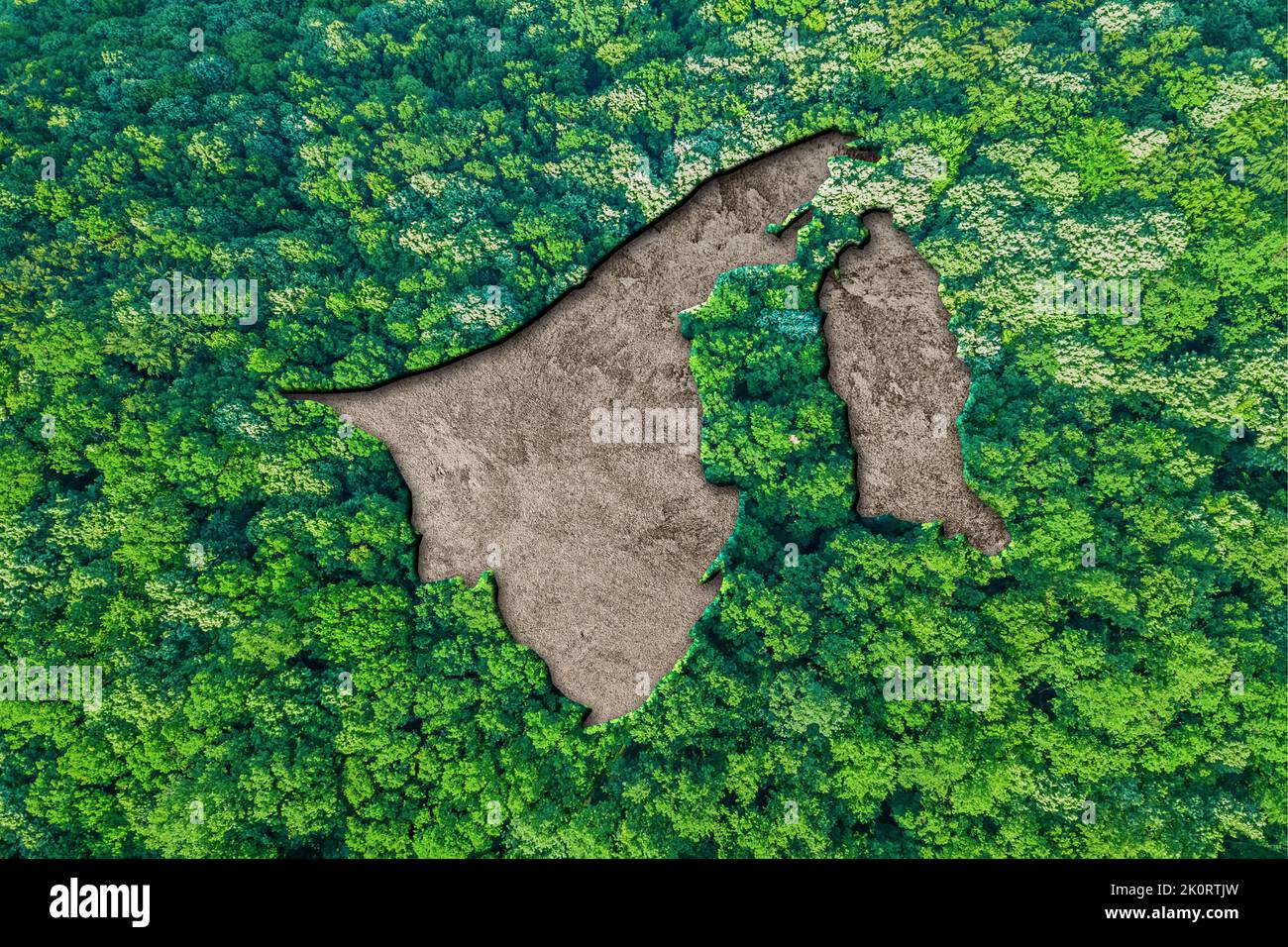 Sustainable habitat Map of Brunei Darussalam, Environment concept Stock ...