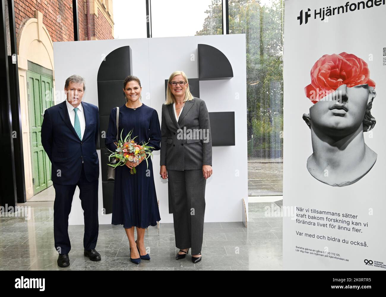 Chairman board brain foundation anna hemlin hi-res stock photography ...