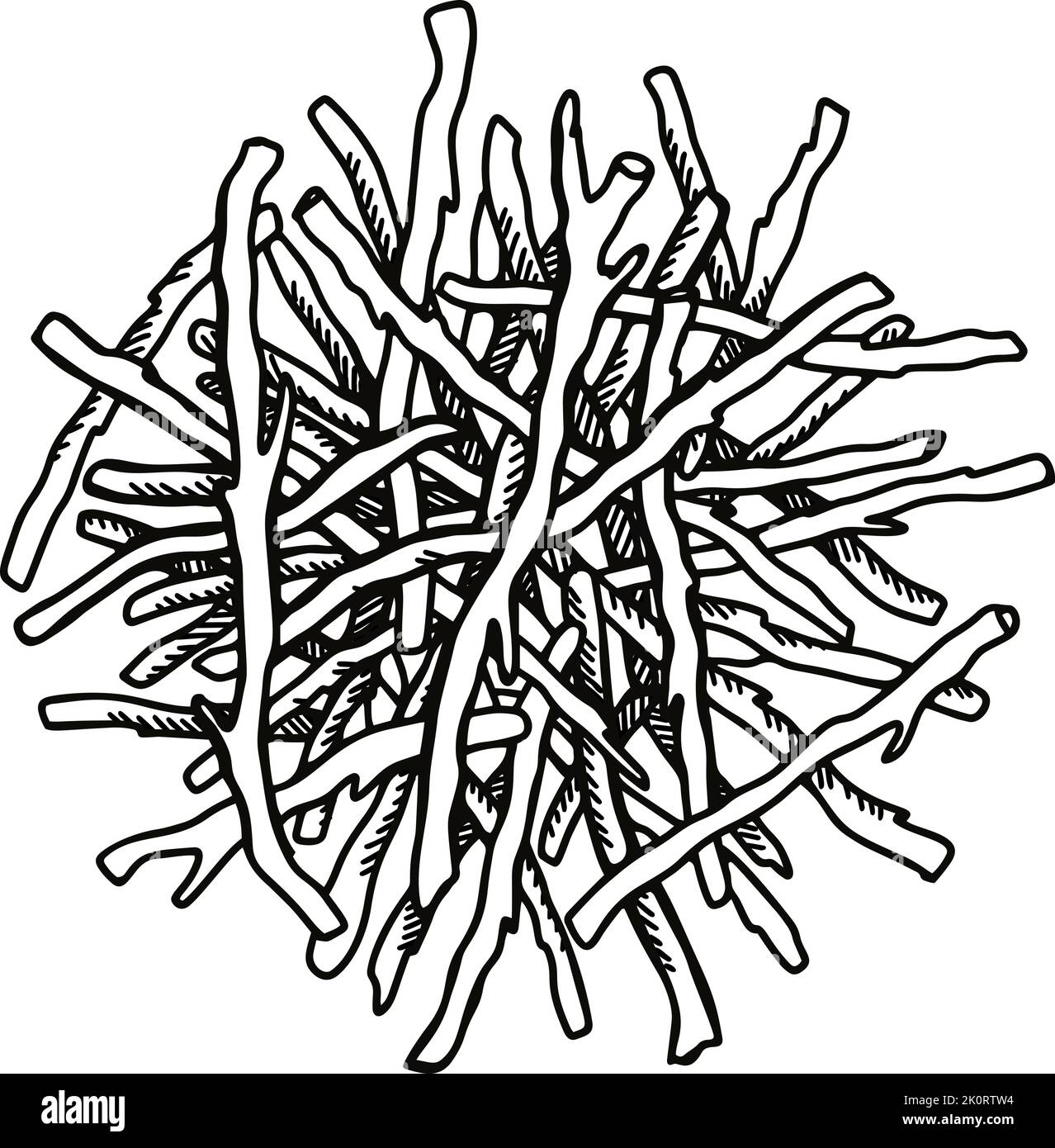 Hand drawn dried roots isolated on white background. Botanical vector ...