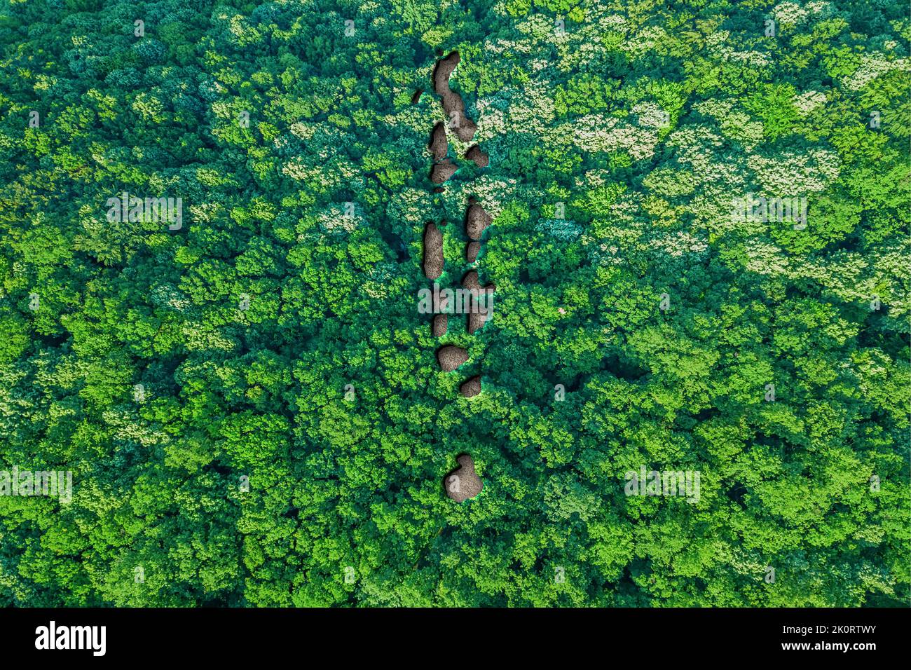 Sustainable habitat Map of Maldives, Environment concept Stock Photo ...
