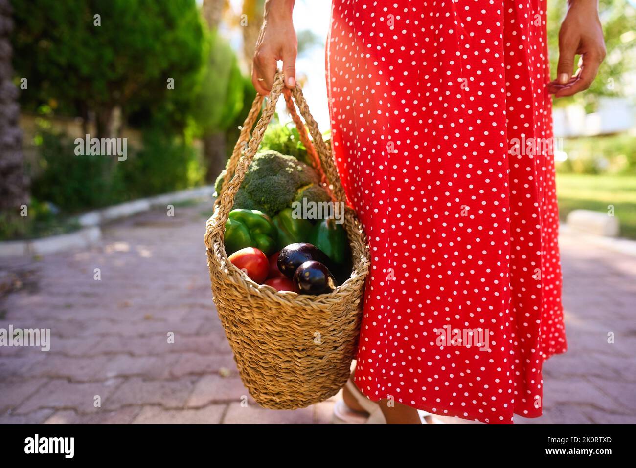 Healthy food nutrition concept and agriculture store owner concept with ...