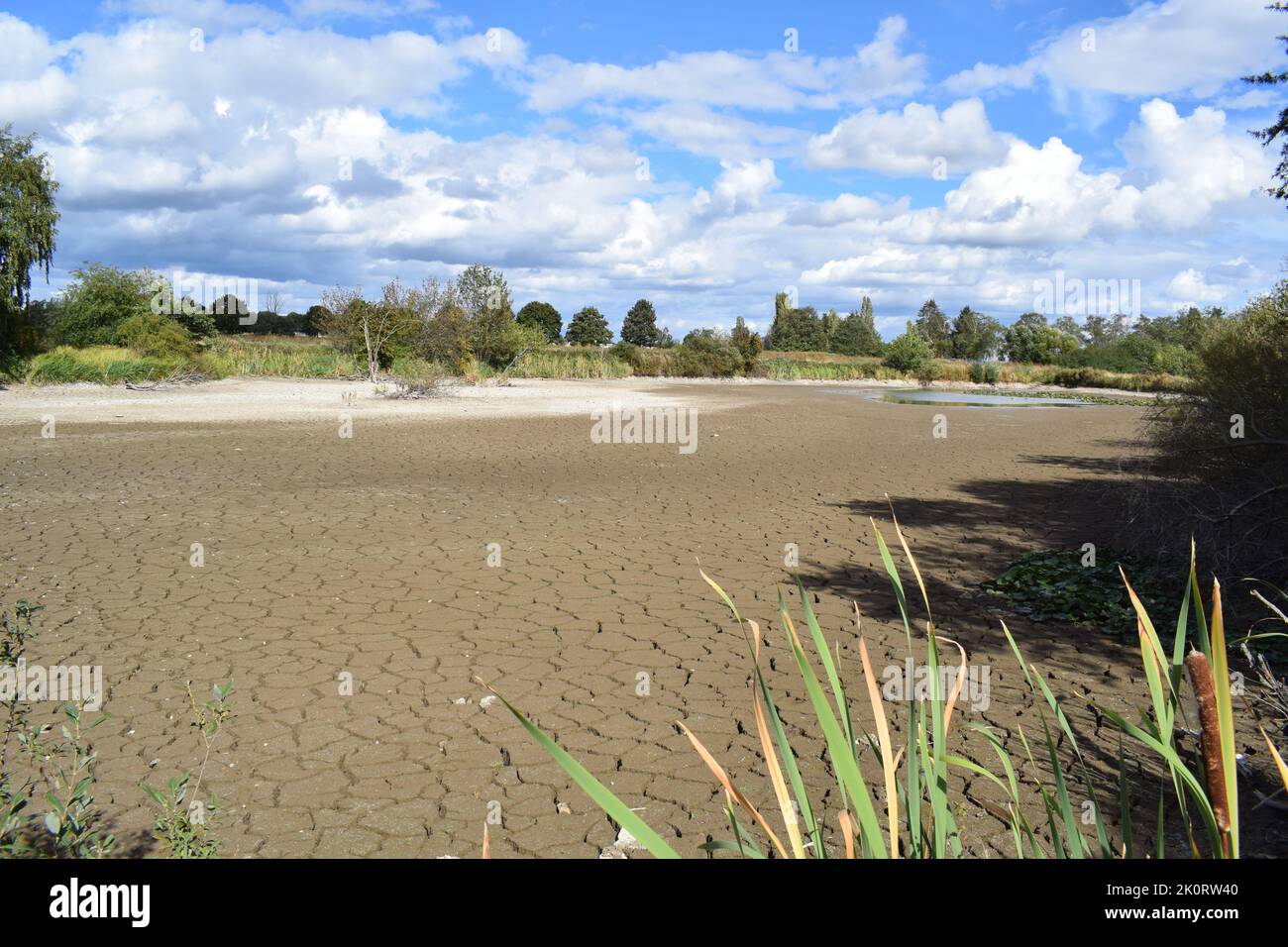 dry swamp lake during the drought 2022 Stock Photo - Alamy