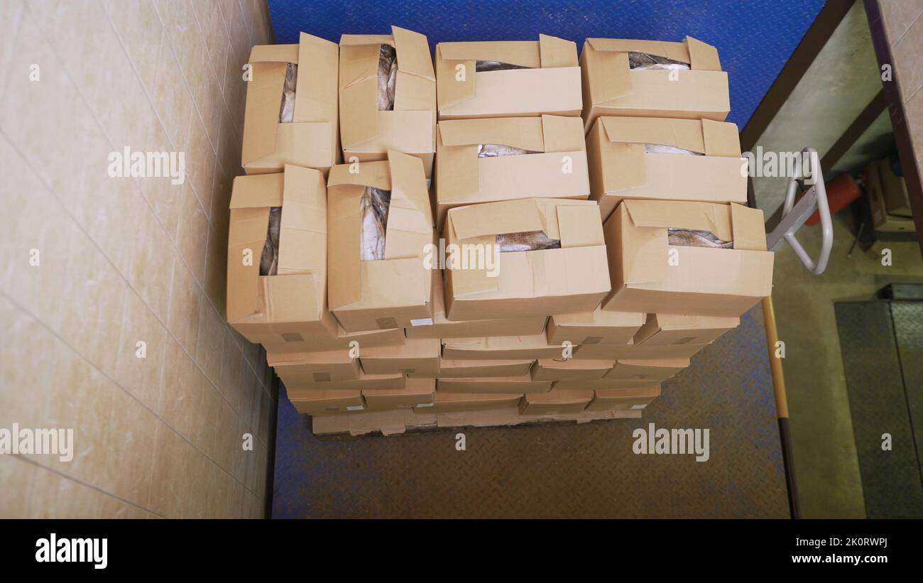 Boxes rise on the elevator. Fish factory, unloading fish. Crates of ...