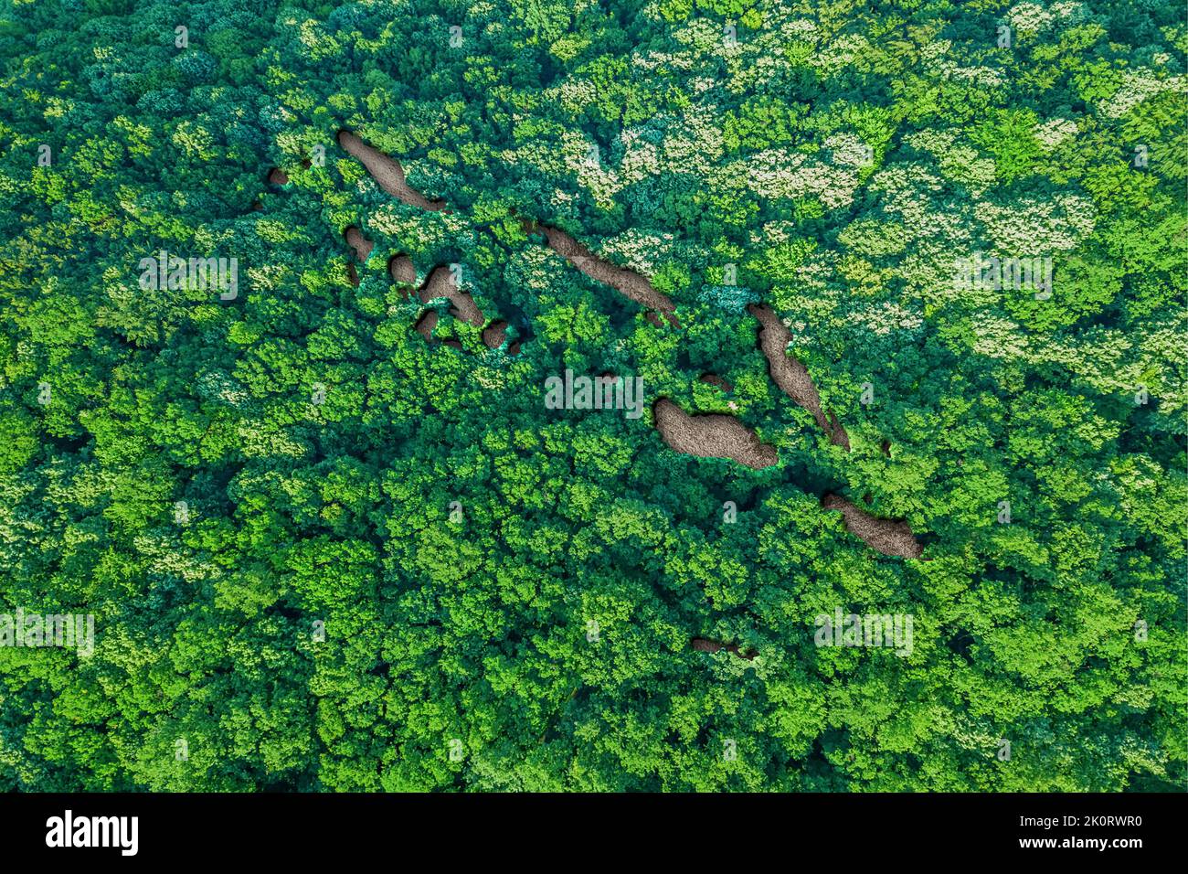 Sustainable habitat Map of Solomon Islands, Environment concept Stock ...