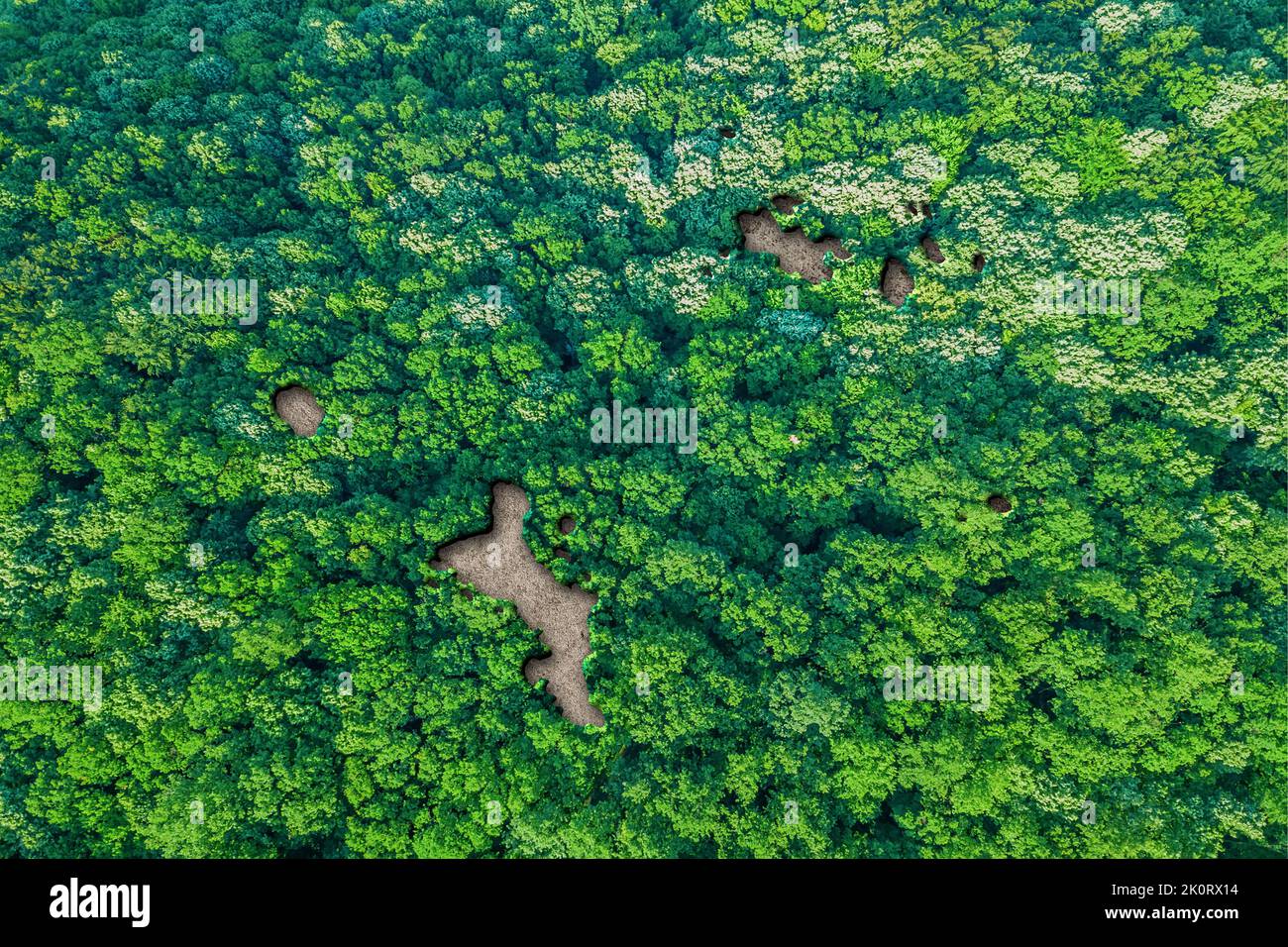 Sustainable habitat Map of Seychelles, Environment concept Stock Photo ...