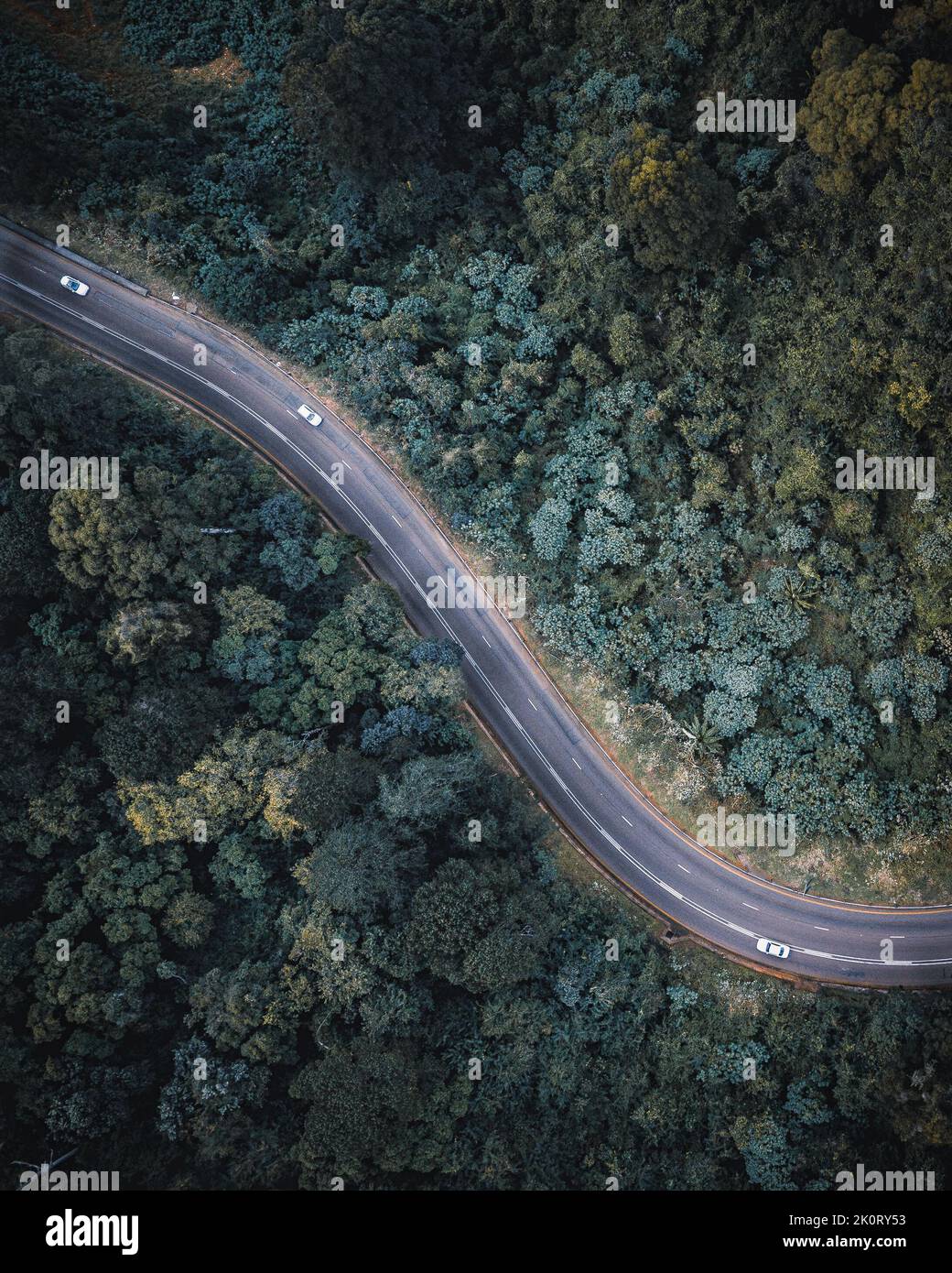 A top view of a road in a forest Stock Photo - Alamy