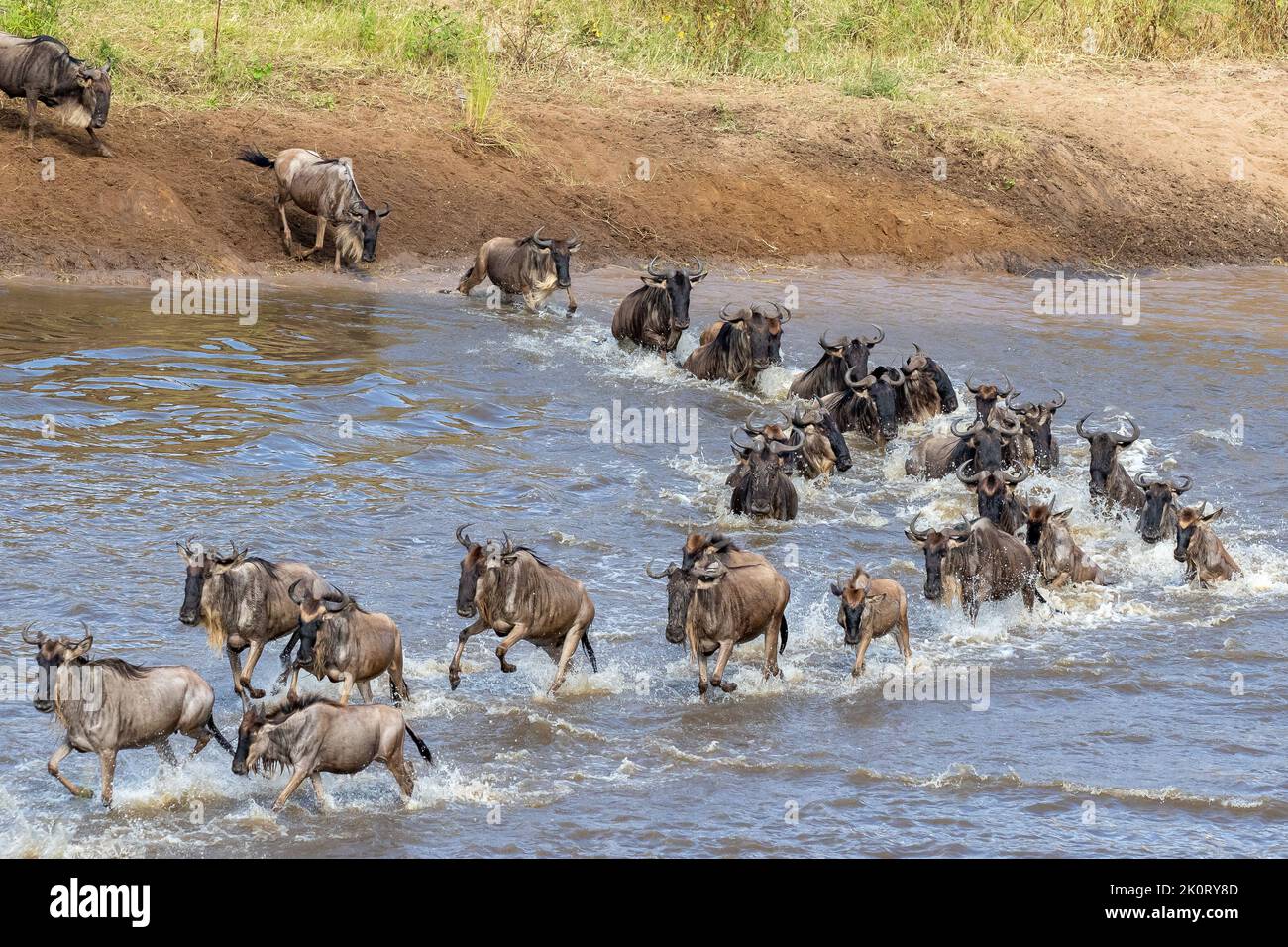 Jumping river africa hi-res stock photography and images - Alamy