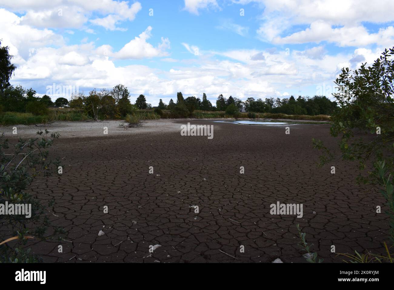 dry swamp lake during the drought 2022 Stock Photo - Alamy