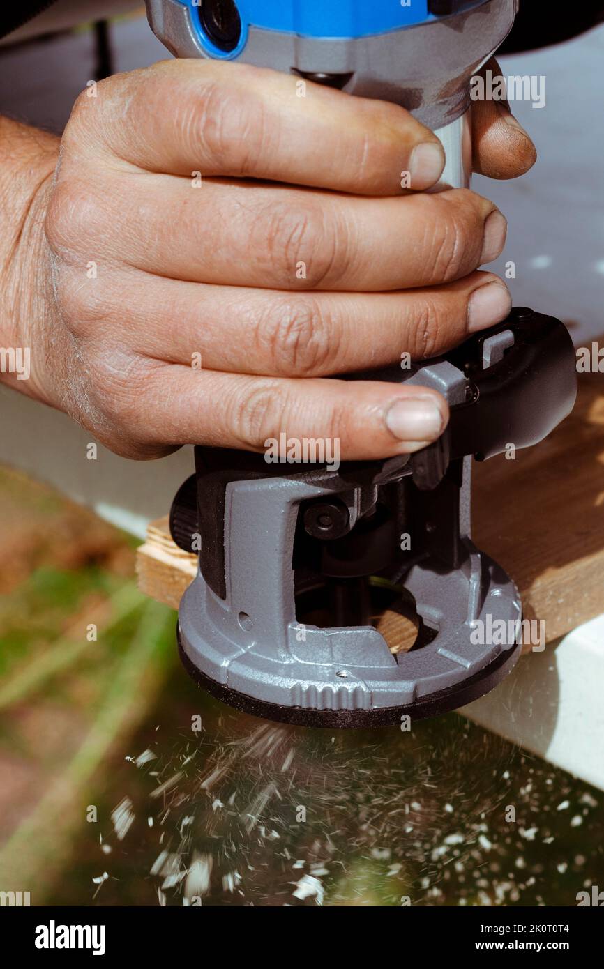 Woodworking shank router bit. Shaping copy milling. Rotating cutting ...