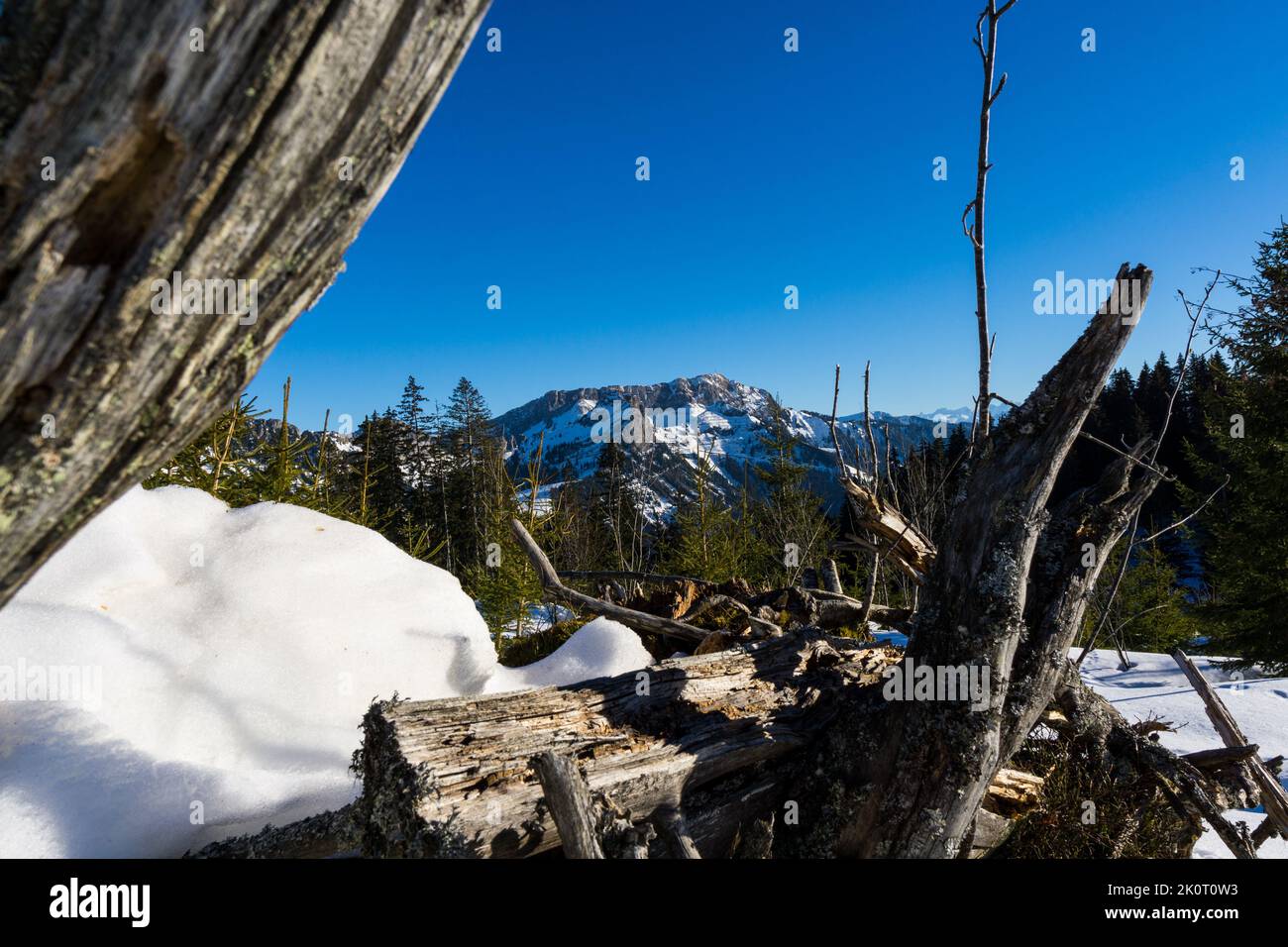 A natural landscape view of the mountains and forests in Switzerland ...