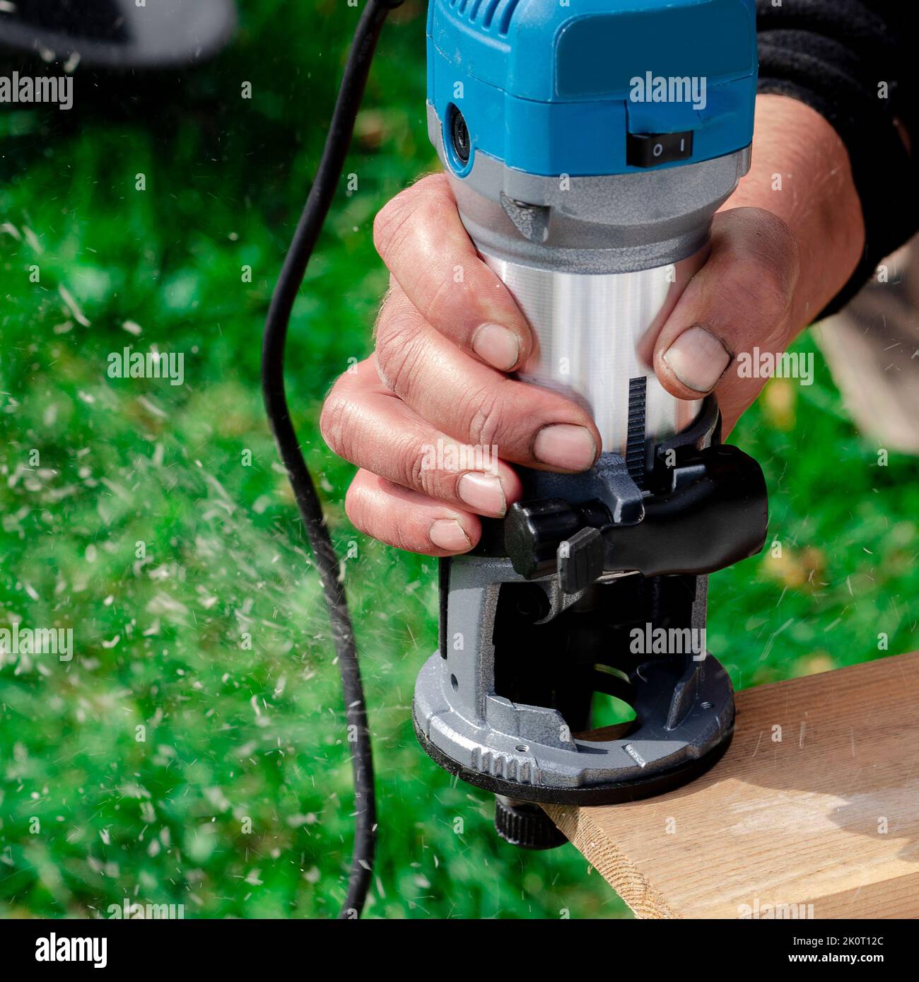 Woodworking shank router bit. Shaping copy milling. Rotating cutting ...