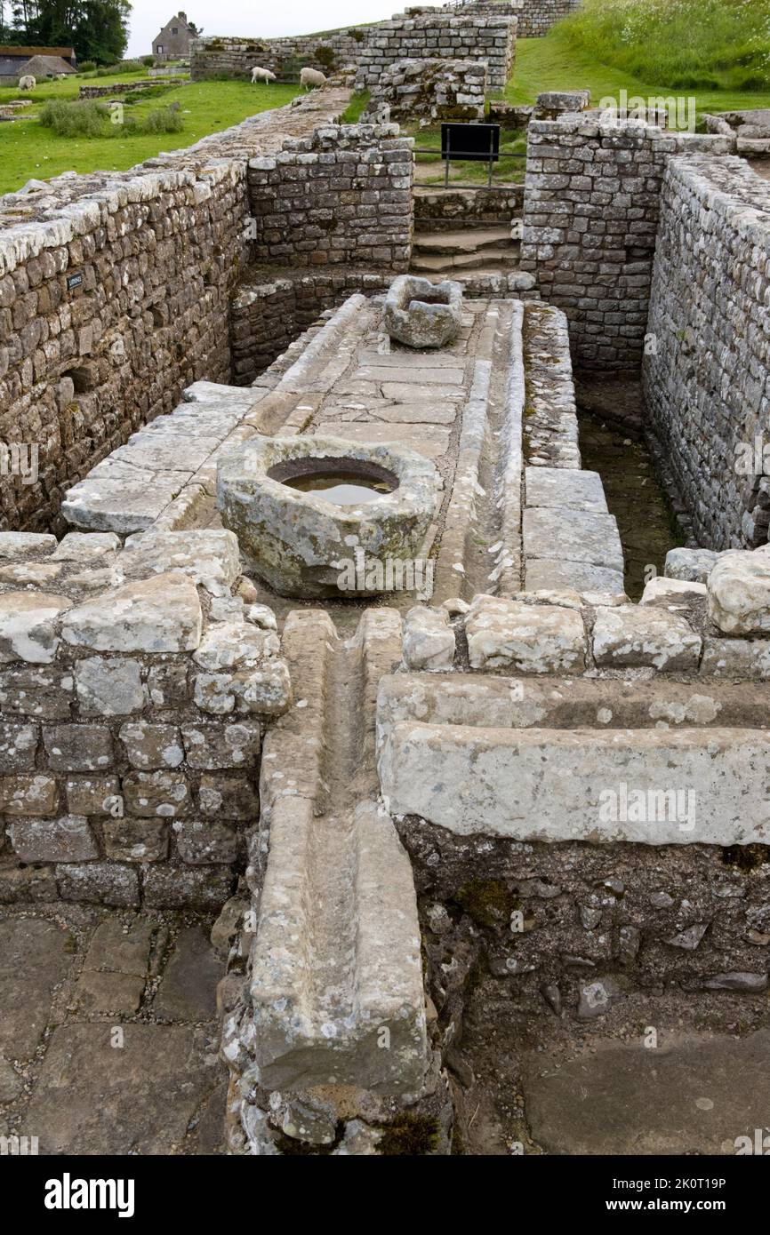 The communal latrines (toilets) at Housesteads Roman Fort in ...