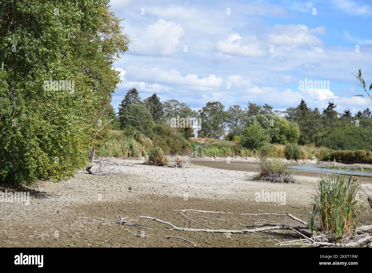 dry swamp lake during the drought 2022 Stock Photo - Alamy