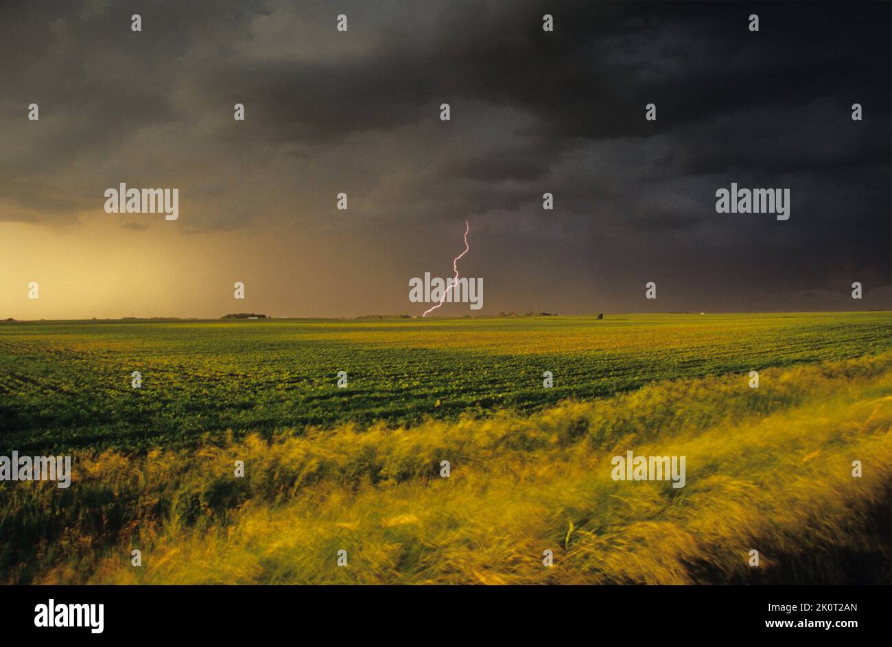 A bolt of lightning over farmland in South Dakota, USA, during a spring ...