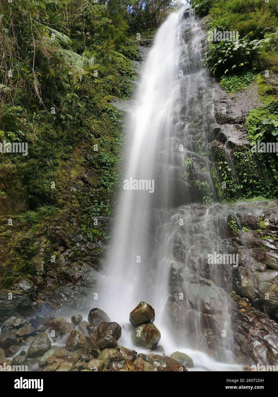 A beautiful view of a waterfall in a forest with trees Stock Photo - Alamy