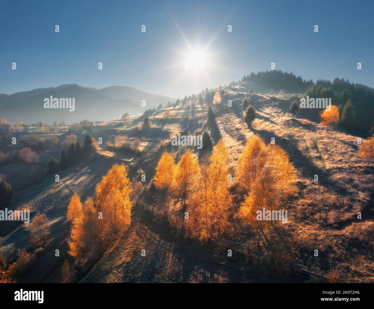 Aerial view of beautiful orange trees on the hill in mountains Stock ...