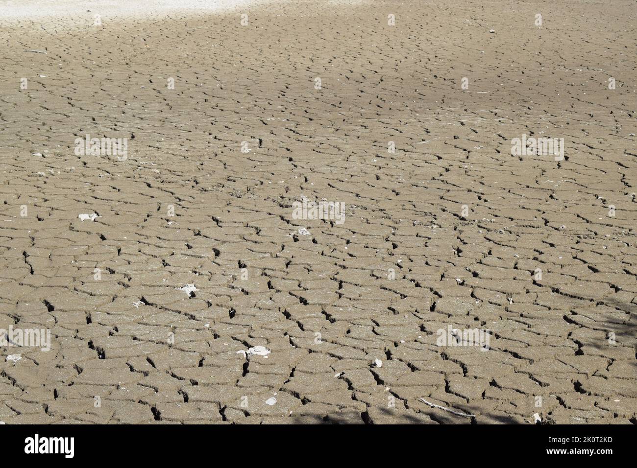 dry swamp lake during the drought 2022 Stock Photo - Alamy