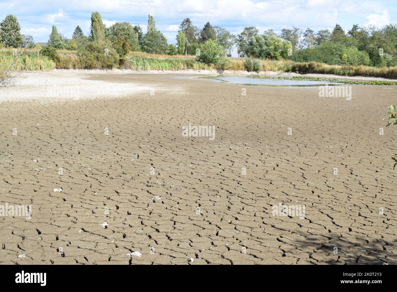 dry swamp lake during the drought 2022 Stock Photo - Alamy