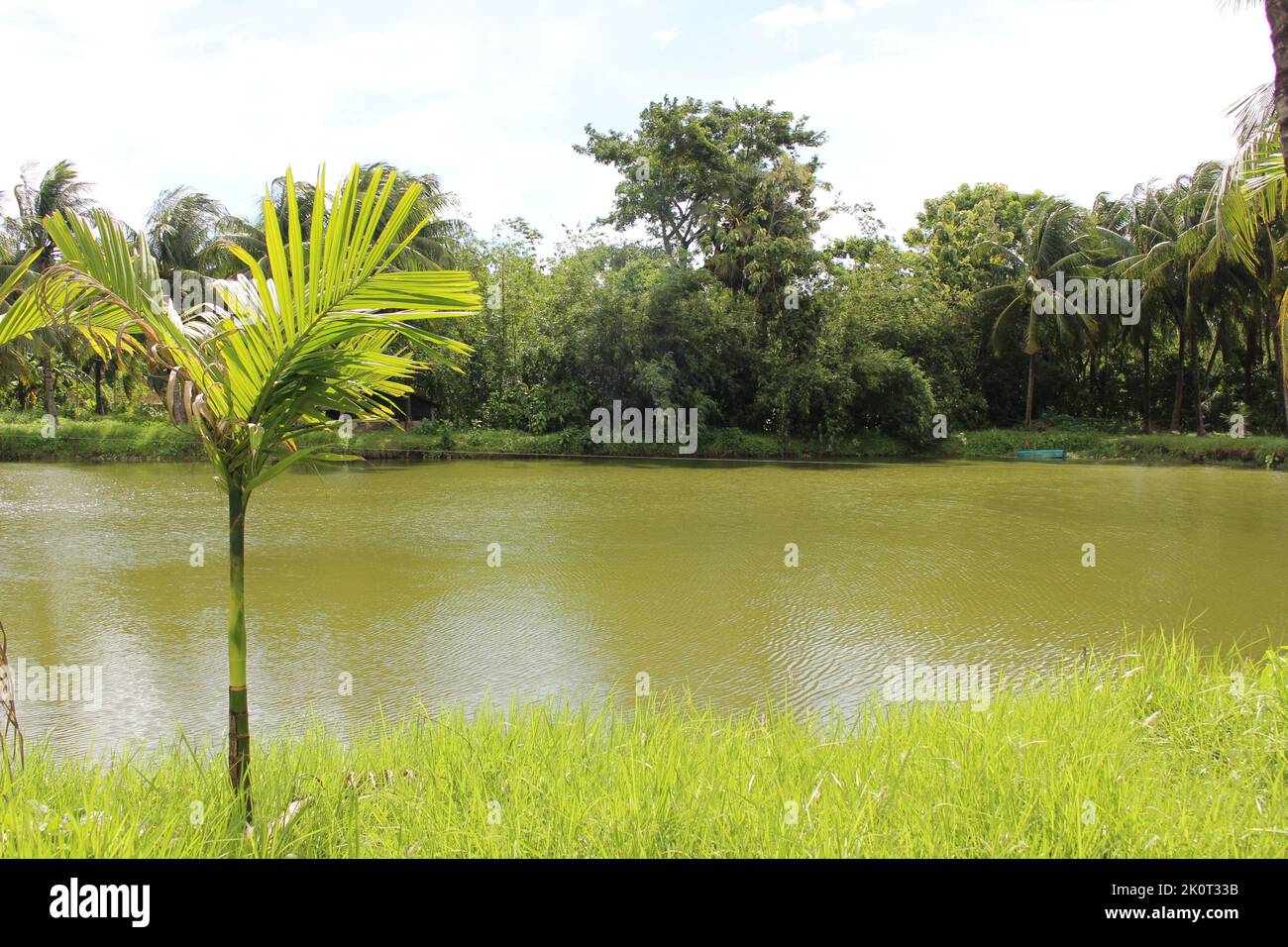 Planet earth amazing nature scenery hi-res stock photography and images ...