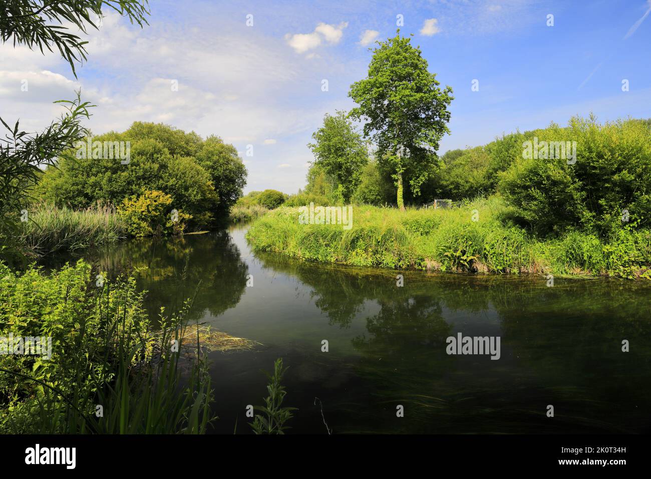 Wildlife attractions winchester hi-res stock photography and images - Alamy