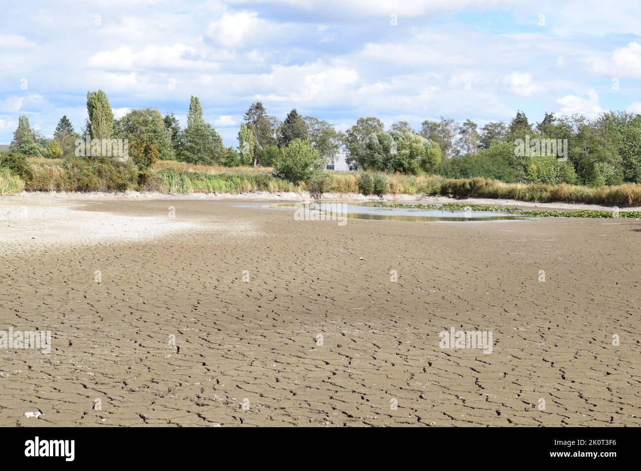 dry swamp lake during the drought 2022 Stock Photo - Alamy