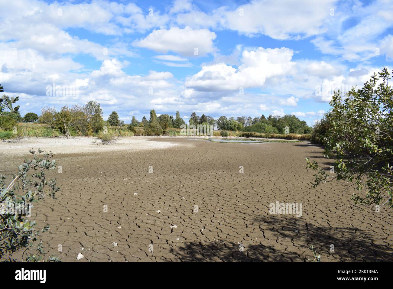 dry swamp lake during the drought 2022 Stock Photo - Alamy